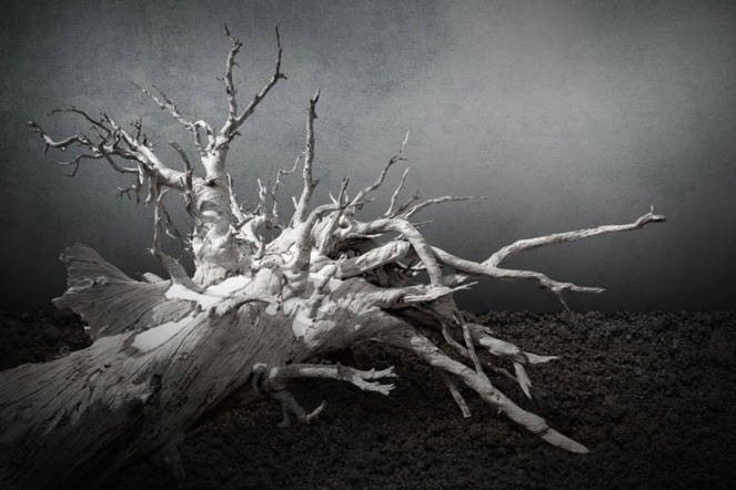 Otthon Mozi - Műsor - Tell Vilmos (Guillaume Tell) - Royal Opera House ...